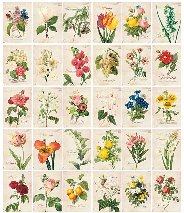 Label Sticker Pack - Flower (52 Pieces Package) on Luulla