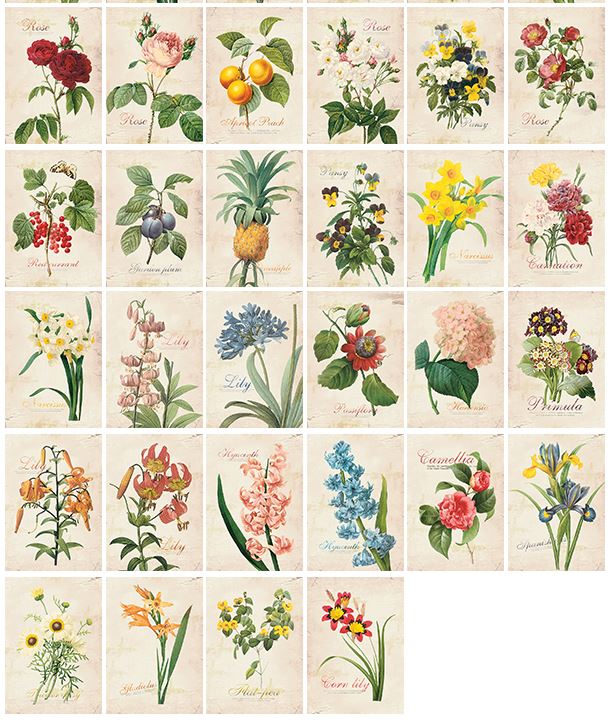 Label Sticker Pack - Flower (52 Pieces Package) on Luulla